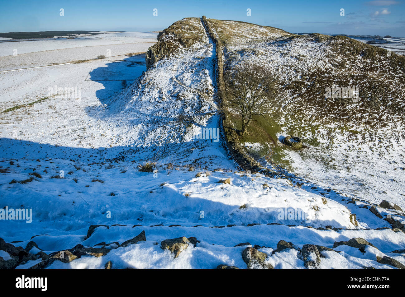 Hadrians wall sycamore gap winter hi-res stock photography and images ...