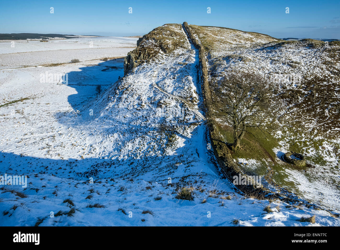 Hadrians Wall winter scenes at Steel Rigg and Sycamore Gap Stock Photo ...