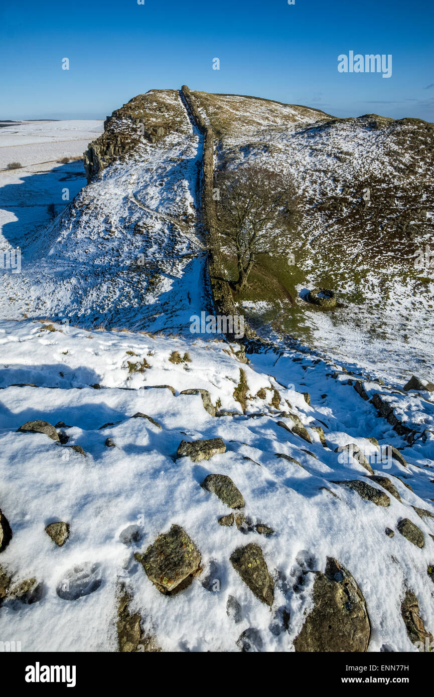 Hadrians Wall winter scenes at Steel Rigg and Sycamore Gap Stock Photo ...