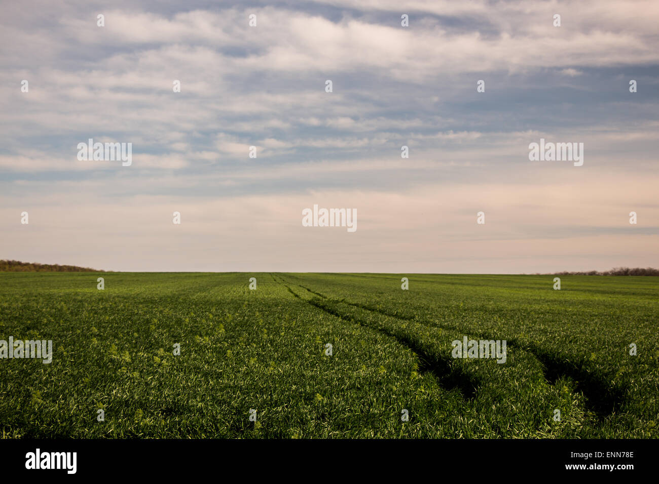 Agronomy hi-res stock photography and images - Alamy