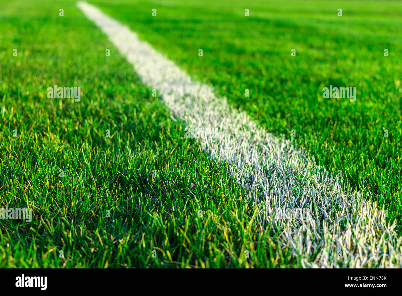Green grass field with white stripe Stock Photo - Alamy
