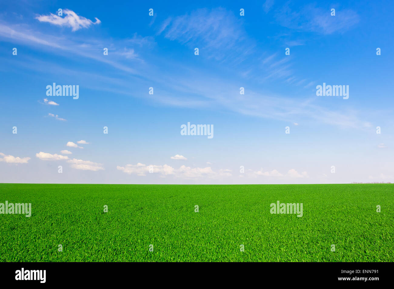 Green and blue landscape Stock Photo - Alamy