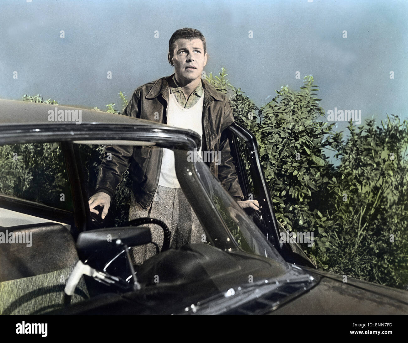 Earth vs spider usa 1958 hi-res stock photography and images - Alamy