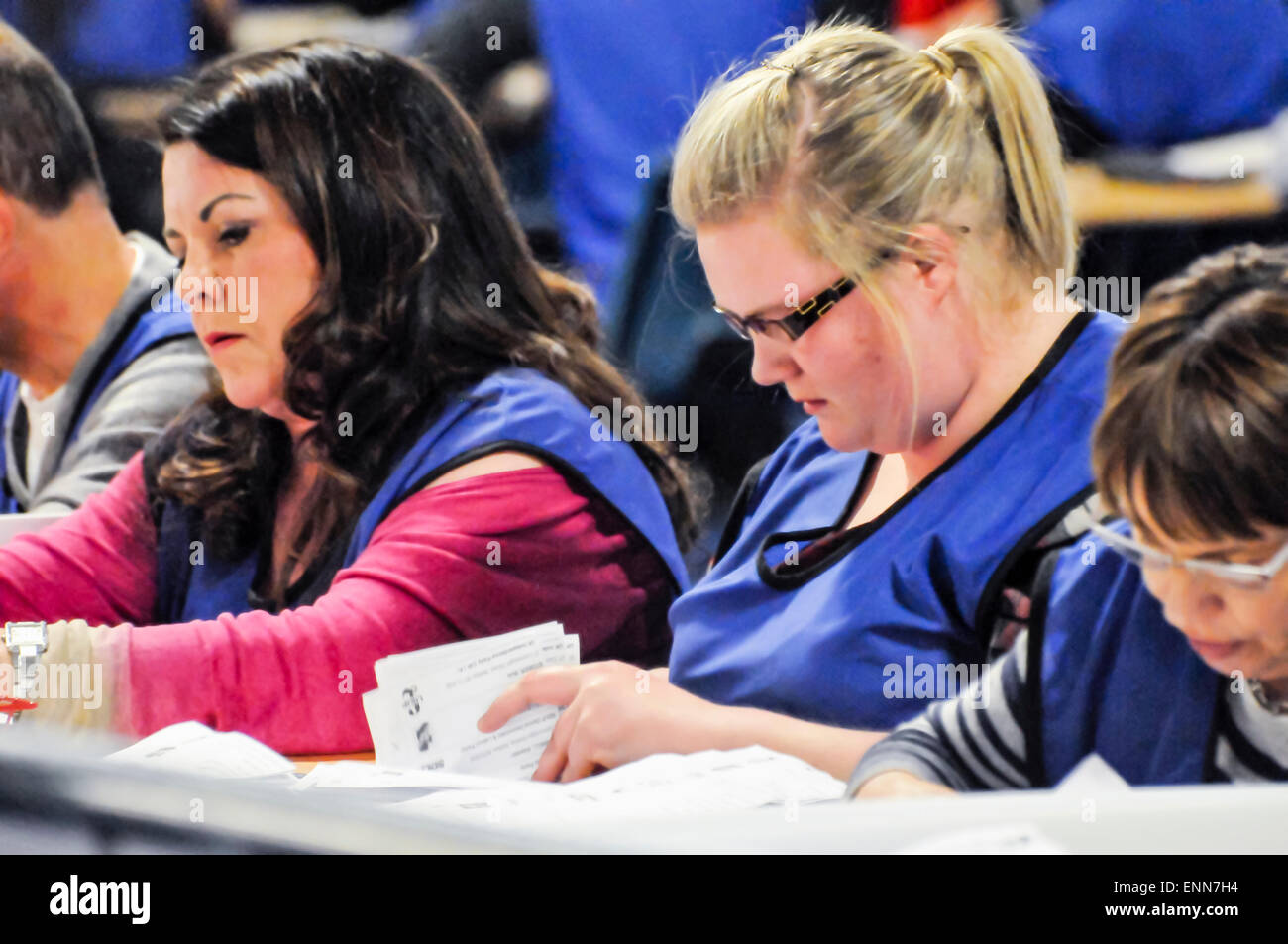 Electoral staff count votes during a UK General Election Stock Photo ...