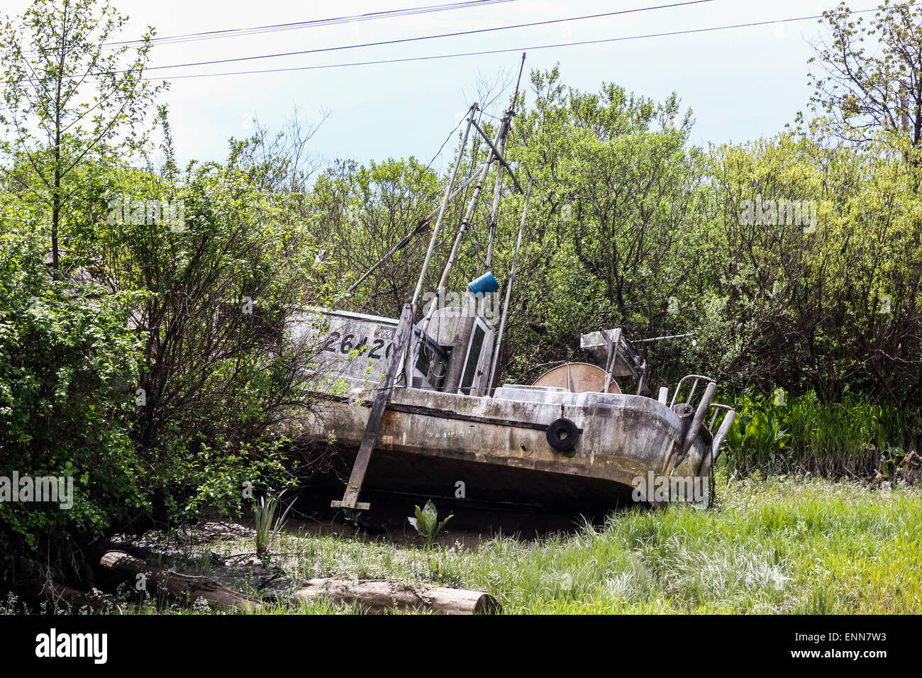 Canon boat hi-res stock photography and images - Alamy