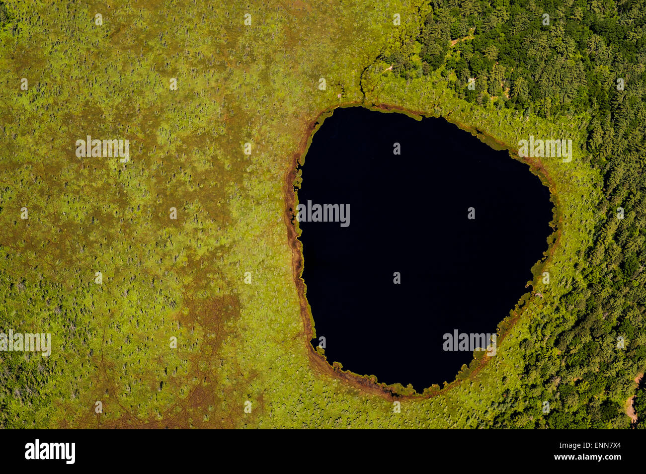 pond from above Stock Photo - Alamy