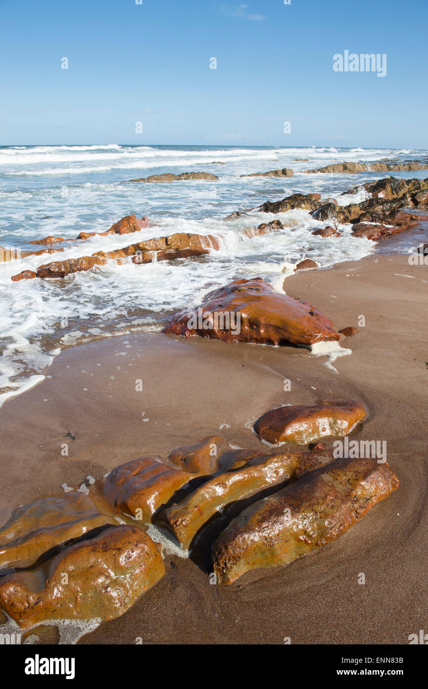 Spittal Beach Sandstone rock strata colourd by iron ore deposits ...