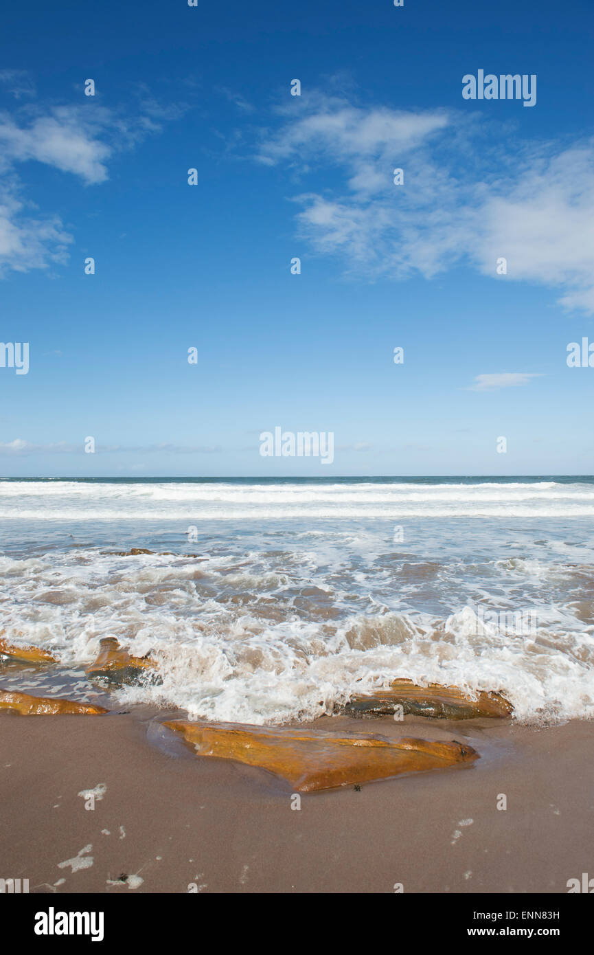 Sandstone rock spittal beach hi-res stock photography and images - Alamy