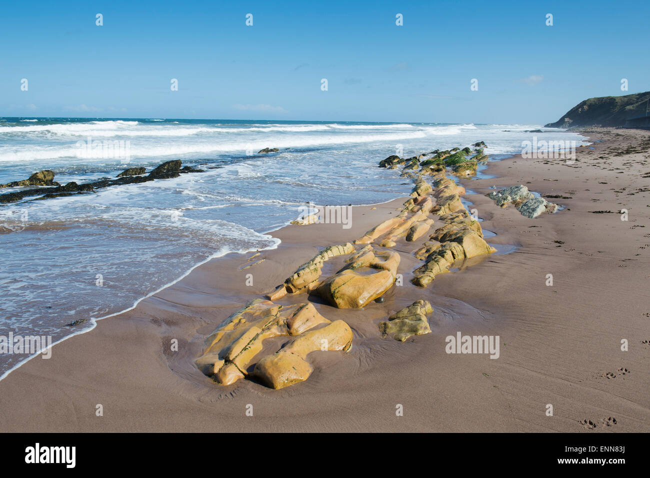 Berwick Upon Tweed Northumberland Beach High Resolution Stock ...