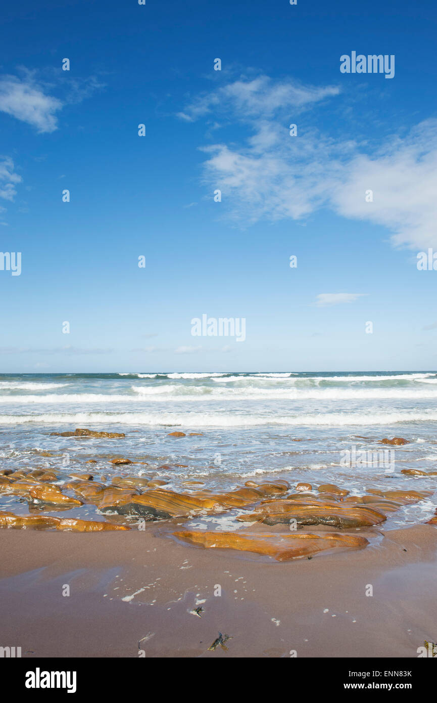 Sandstone rock spittal beach hi-res stock photography and images - Alamy