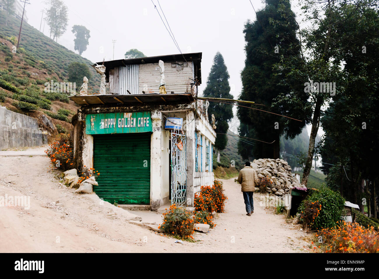 Happy valley tea estate hi-res stock photography and images - Alamy