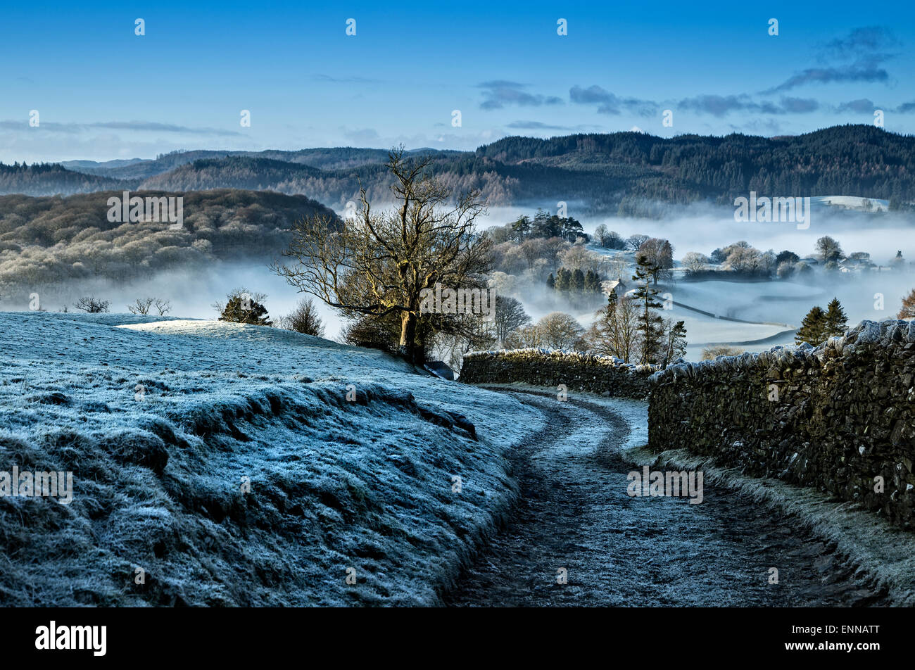 Beatrix potter lake district hi-res stock photography and images - Alamy