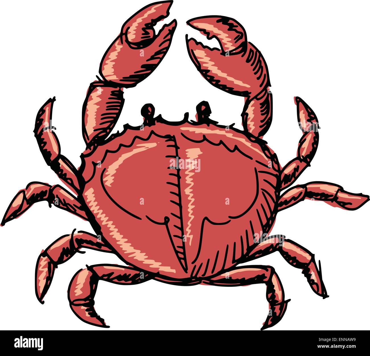 Food cooked crab on Stock Vector Images - Alamy