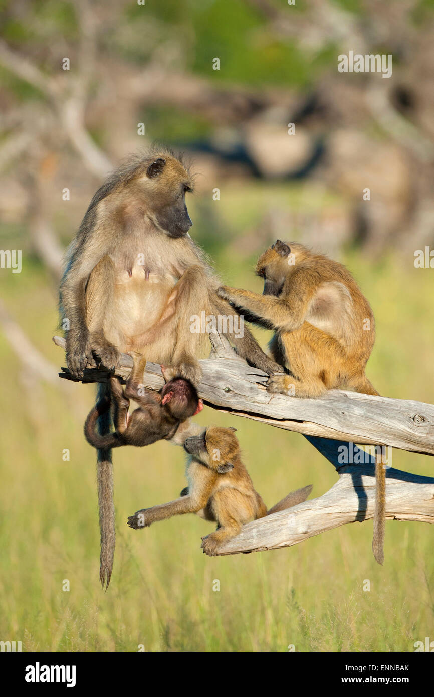 Human interraction hi-res stock photography and images - Alamy