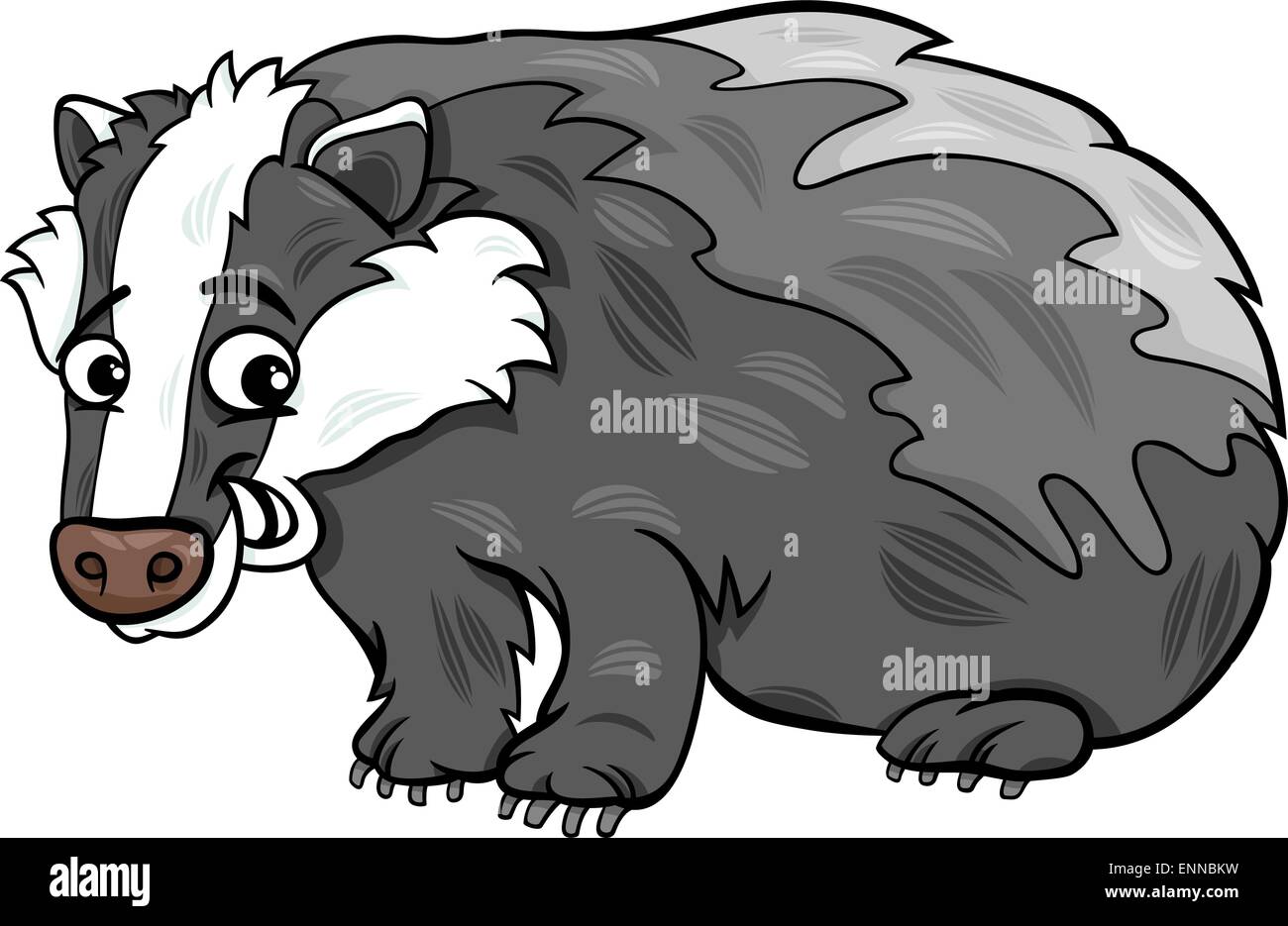 badger animal cartoon illustration Stock Vector Image & Art - Alamy