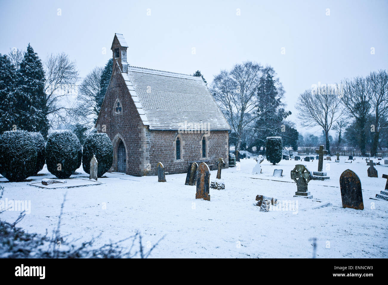 Sheep during a winter snow storm in February. Snowy field village of ...
