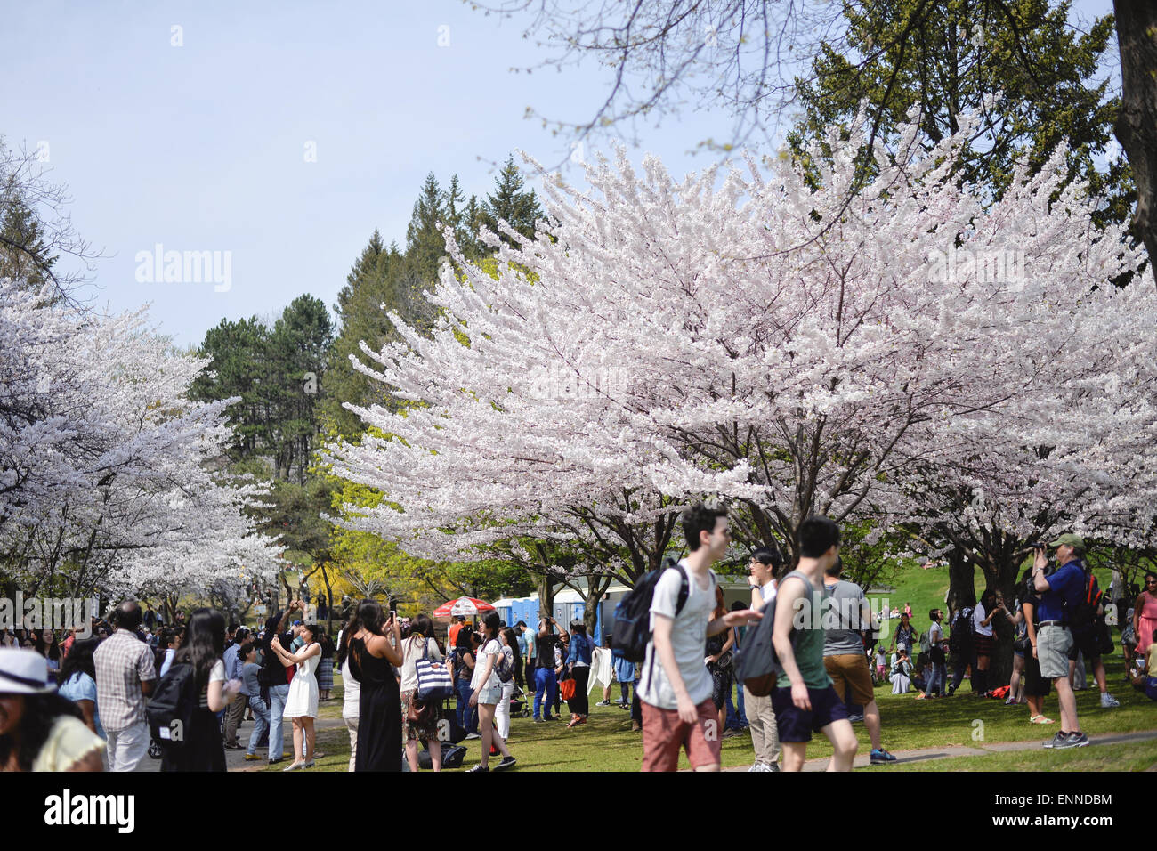 Toronto, Canada. 08th May, 2015. Toronto's High Park is attracting a ...