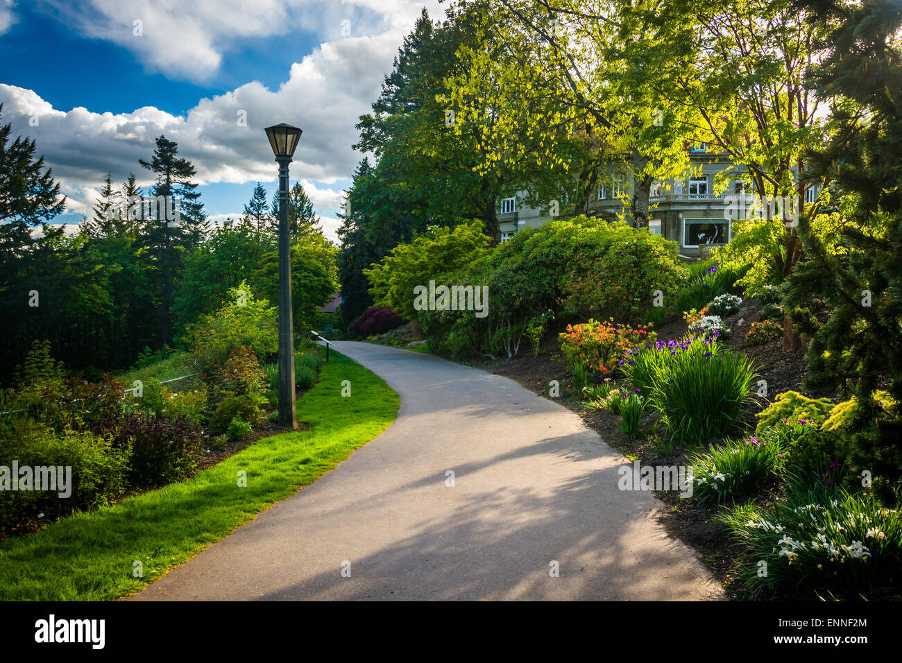 Gardens along a walkway at Pittock Acres Park, in Portland, Oregon ...