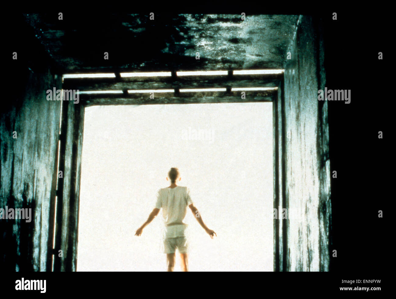 The Actor Andrew Miller Cube