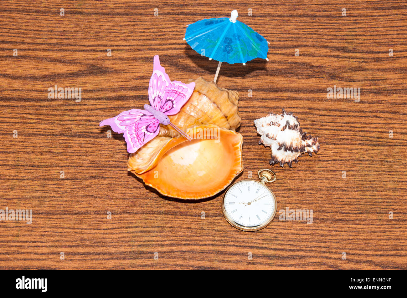 Seashell and hours of time to assemble in summer vacation Stock Photo ...