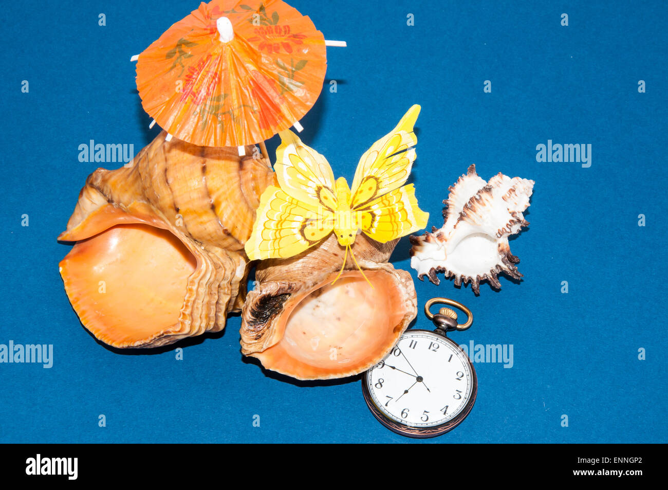 Seashell and hours of time to assemble in summer vacation Stock Photo ...