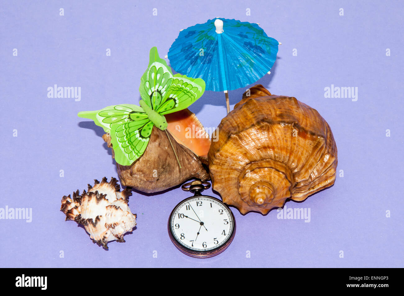 Seashell and hours of time to assemble in summer vacation Stock Photo ...