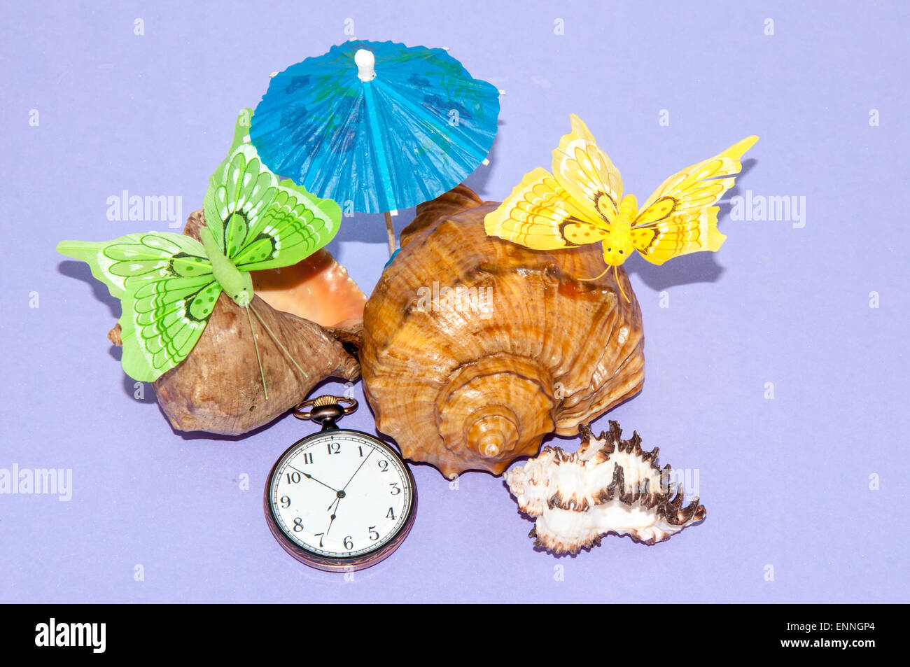 Seashell and hours of time to assemble in summer vacation Stock Photo ...