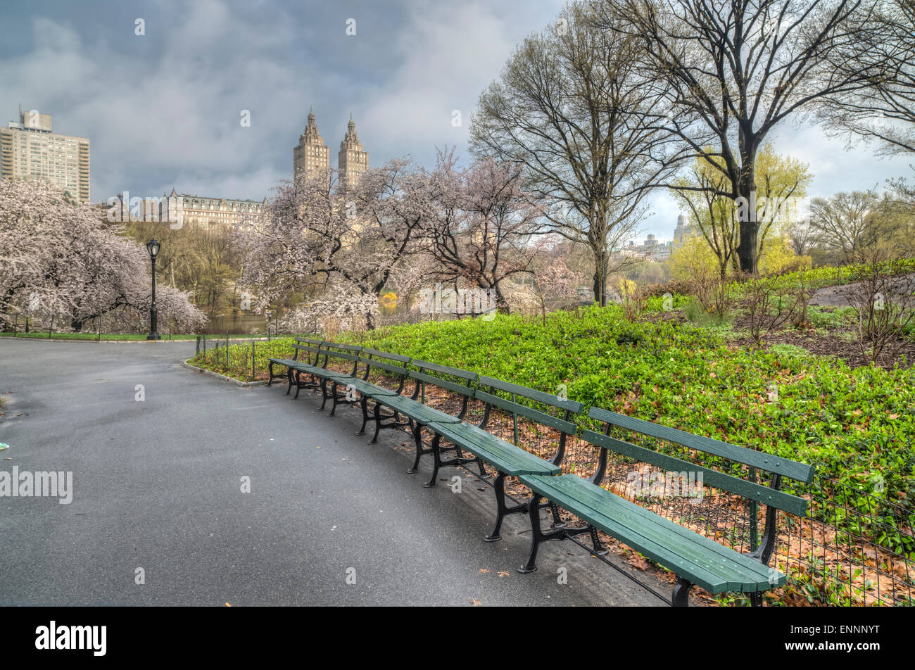 Early Spring Morning