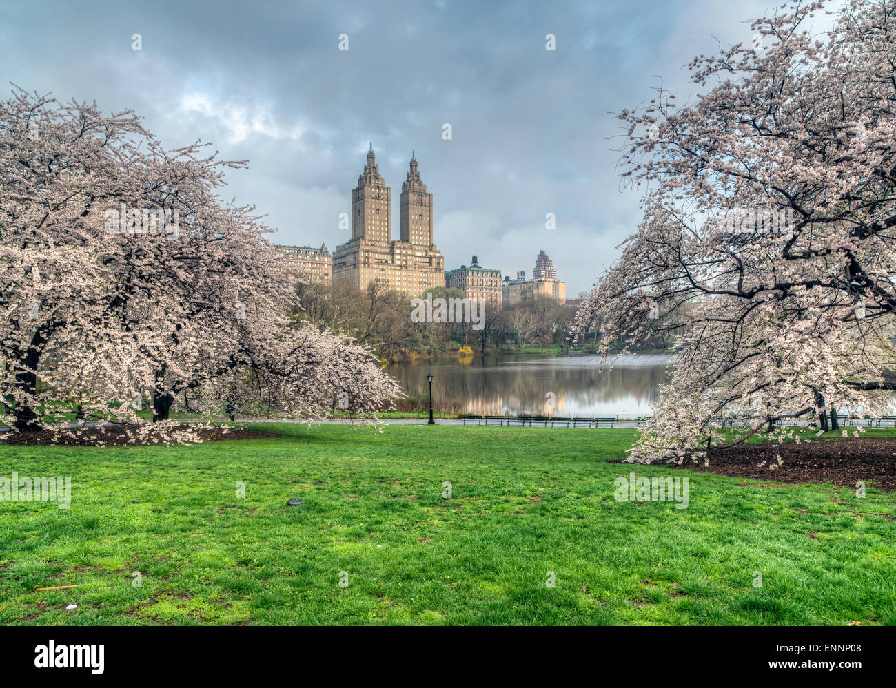 Spring in Central Park, New York City Stock Photo - Alamy