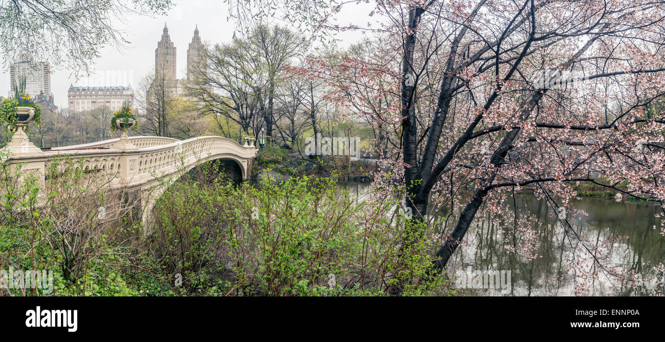 Bow bridge Central Park, New York City in early spring morning with ...