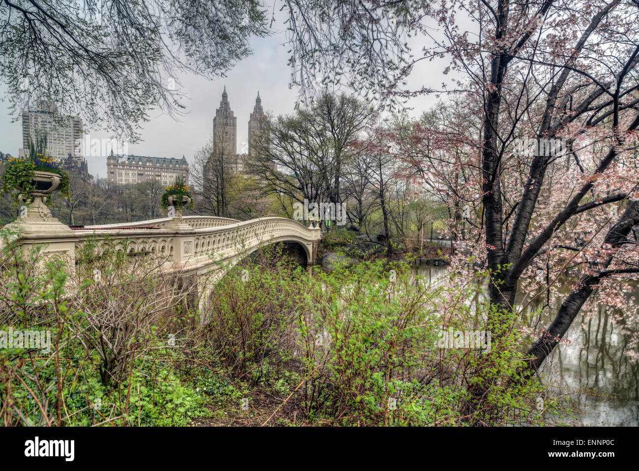 Bow bridge Central Park, New York City in early spring morning with ...