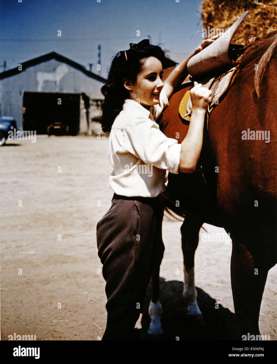 National Velvet