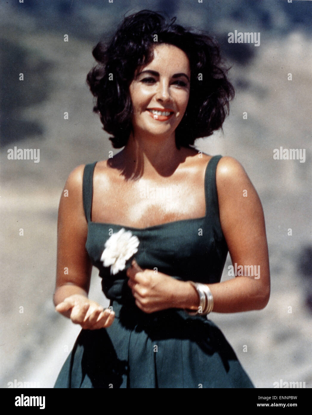 Suddenly last summer elizabeth taylor hi-res stock photography and ...