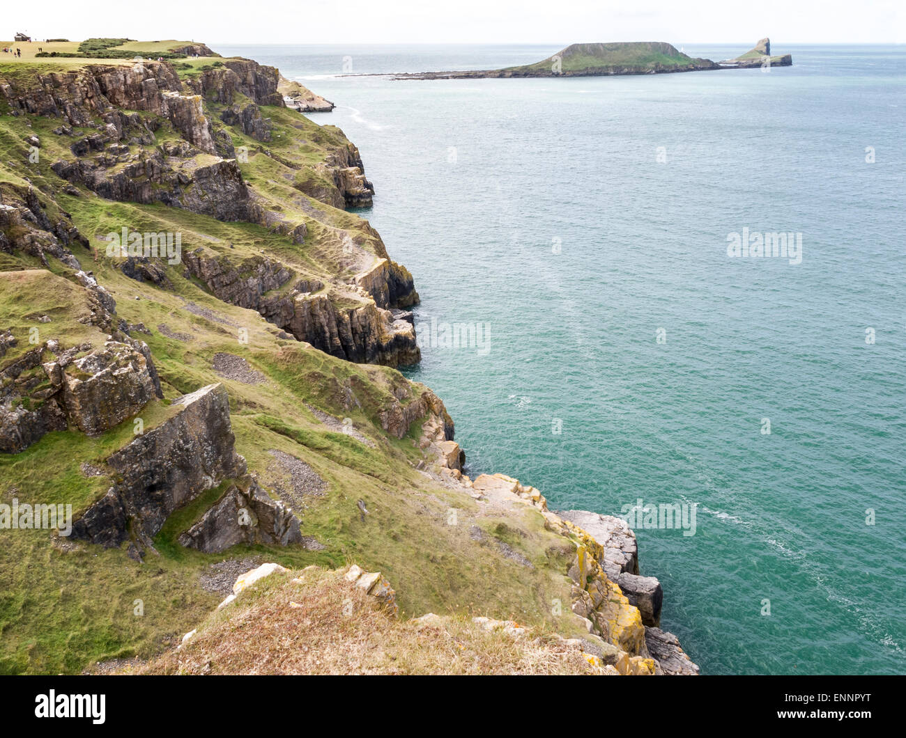 Worms head hi-res stock photography and images - Alamy