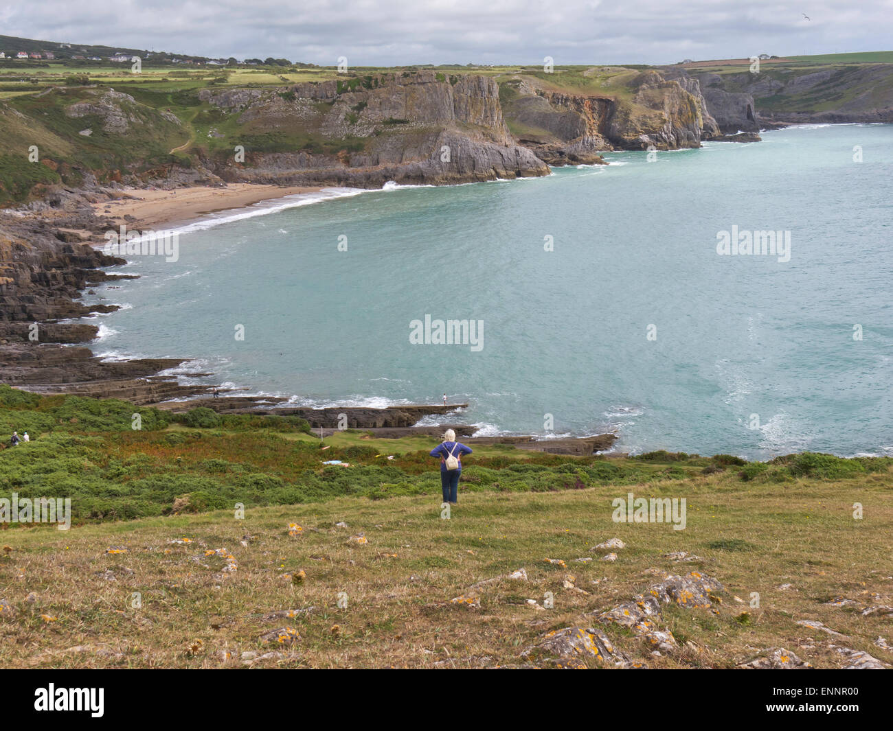Fall beach grass hi-res stock photography and images - Alamy