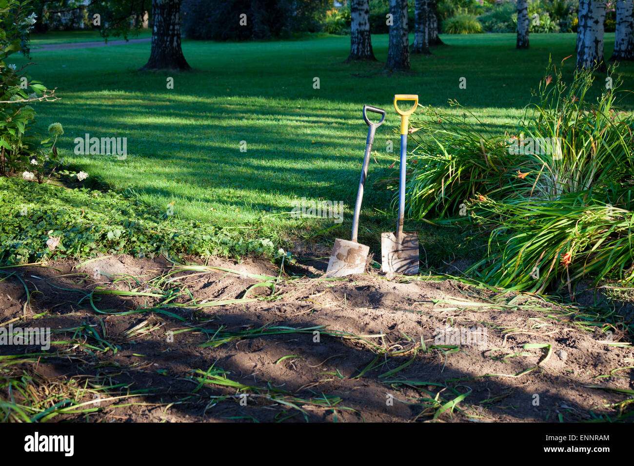 Two shovels in ground Stock Photo - Alamy