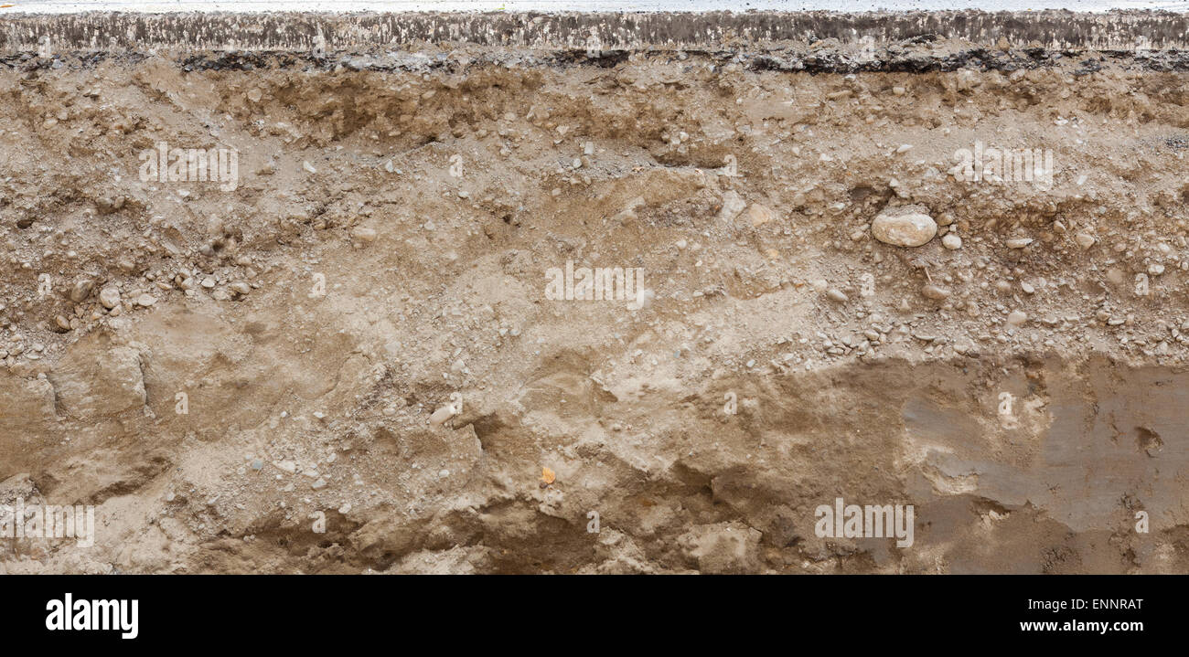 Cross section cut under hi-res stock photography and images - Alamy