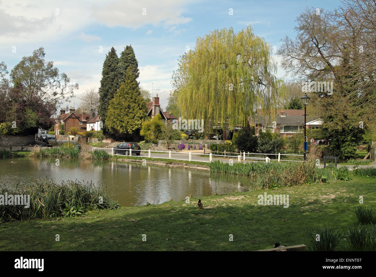 The village pond at Buriton, Hampshire, England Stock Photo - Alamy