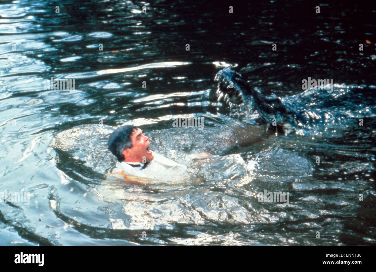 Police Academy 5: Assignment: Miami Beach, aka: Police Academy 5 ...