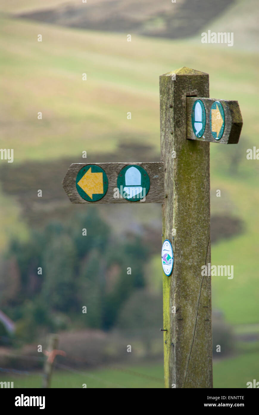 Two directional footpath signpost Stock Photo - Alamy