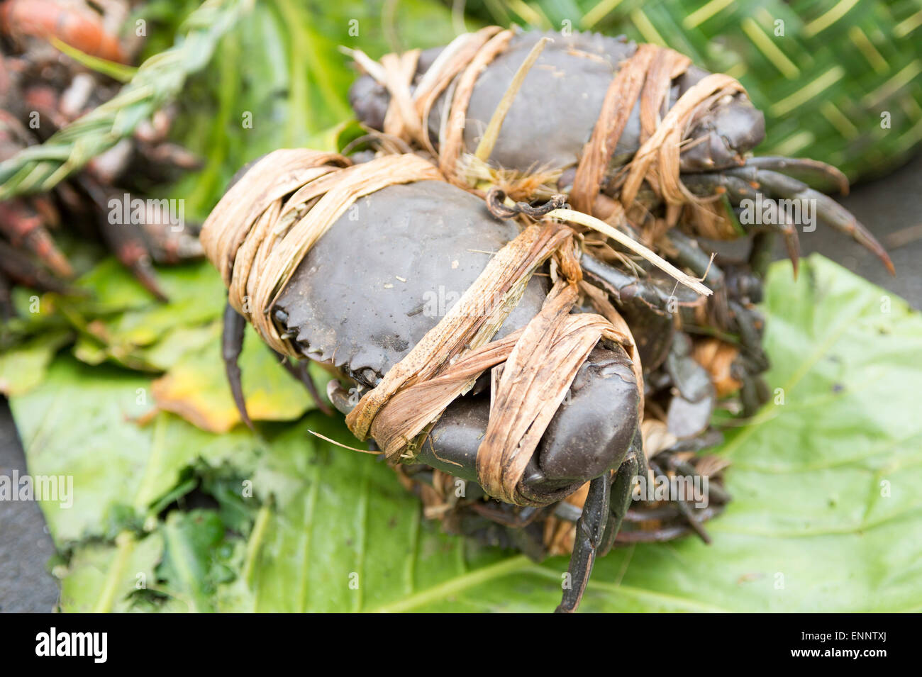 Crabs trussed up for sale. Suva Fish market. Suva, Fiji Stock Photo - Alamy