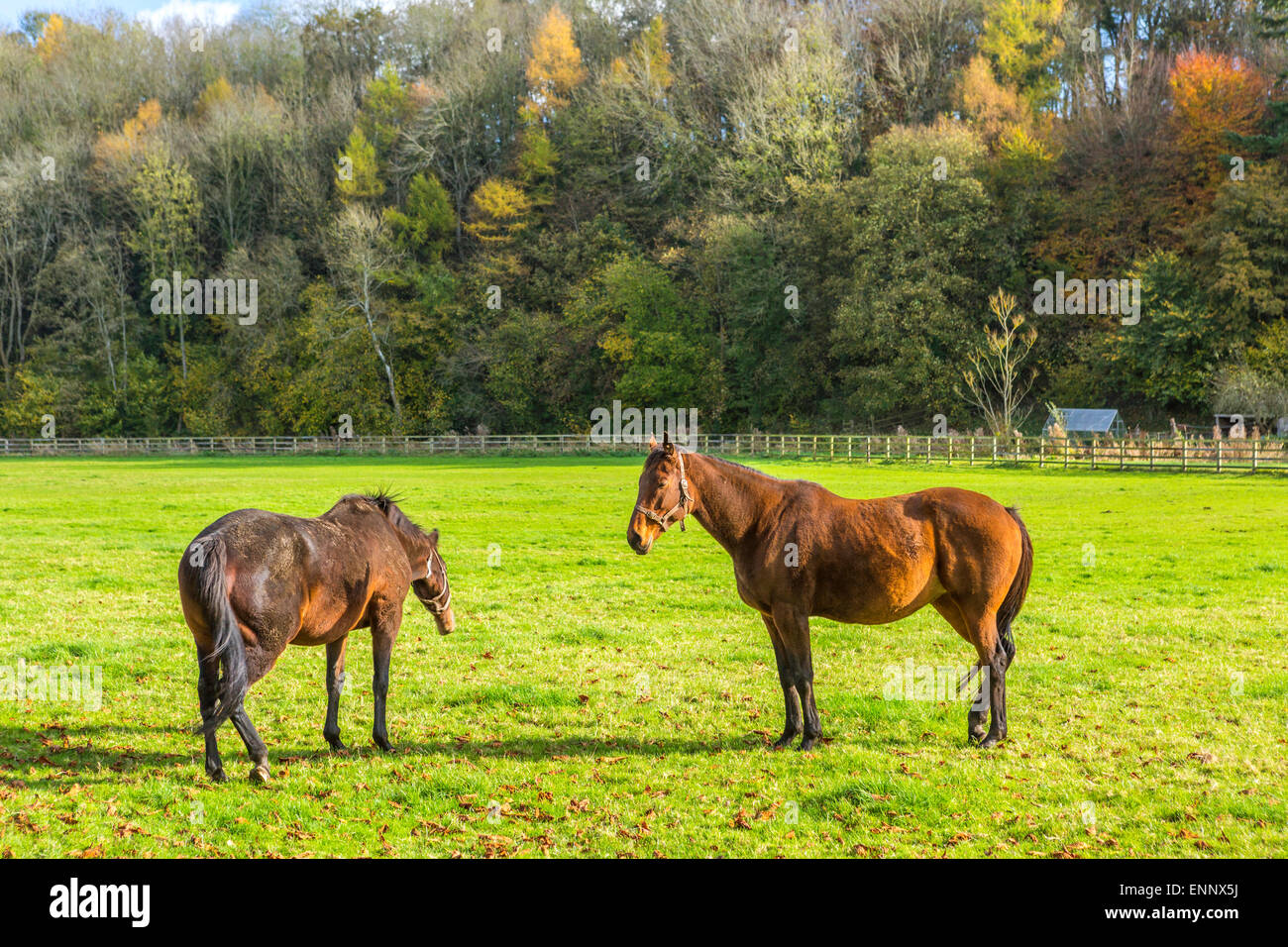 Coln Rogers Cotswolds High Resolution Stock Photography and Images - Alamy