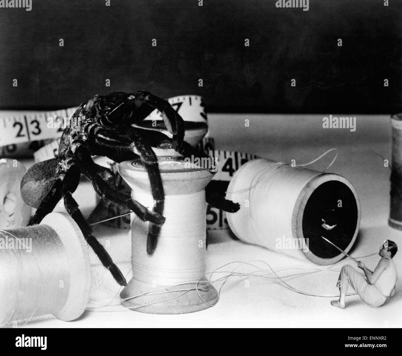 Spider man Black and White Stock Photos & Images - Alamy