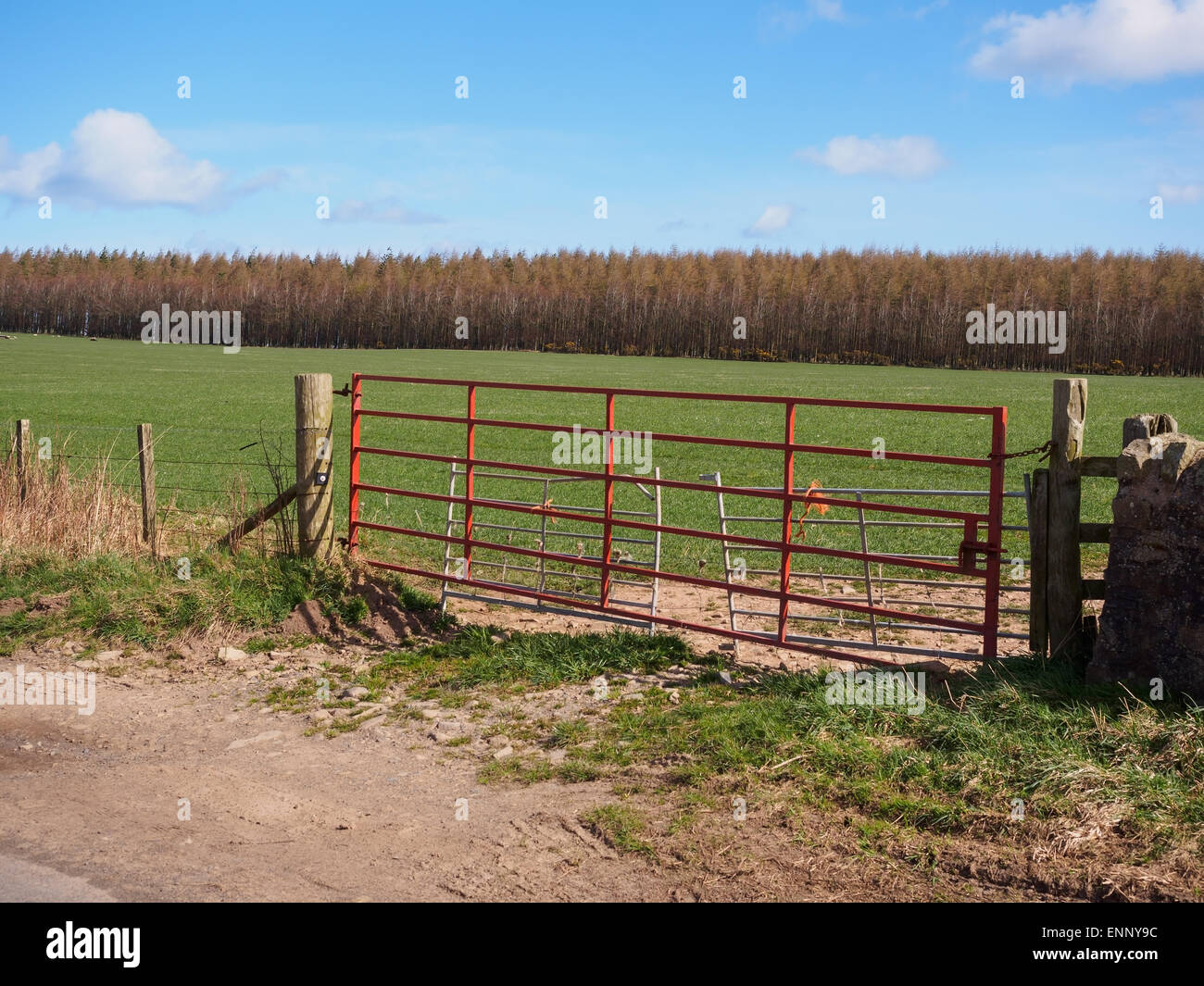 A rusty old farm gate leading to a grassy field Stock Photo - Alamy