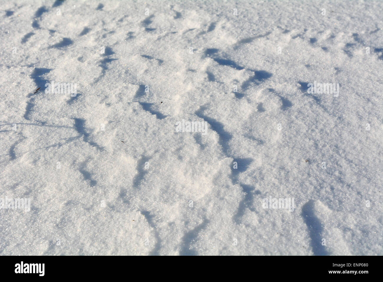 Natural snow background with nice decor Stock Photo - Alamy