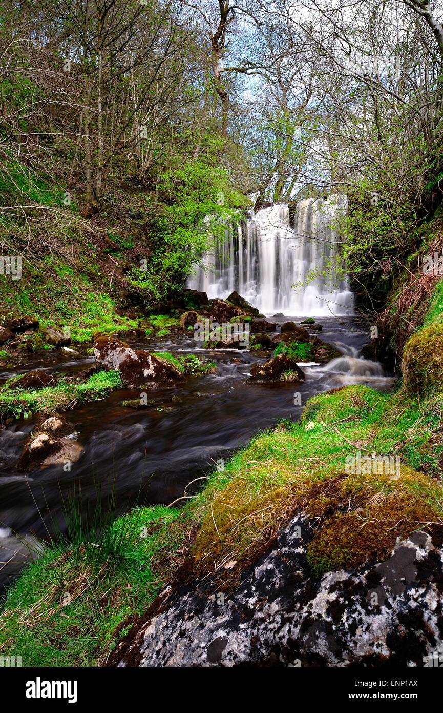 Scale haw force hi-res stock photography and images - Alamy