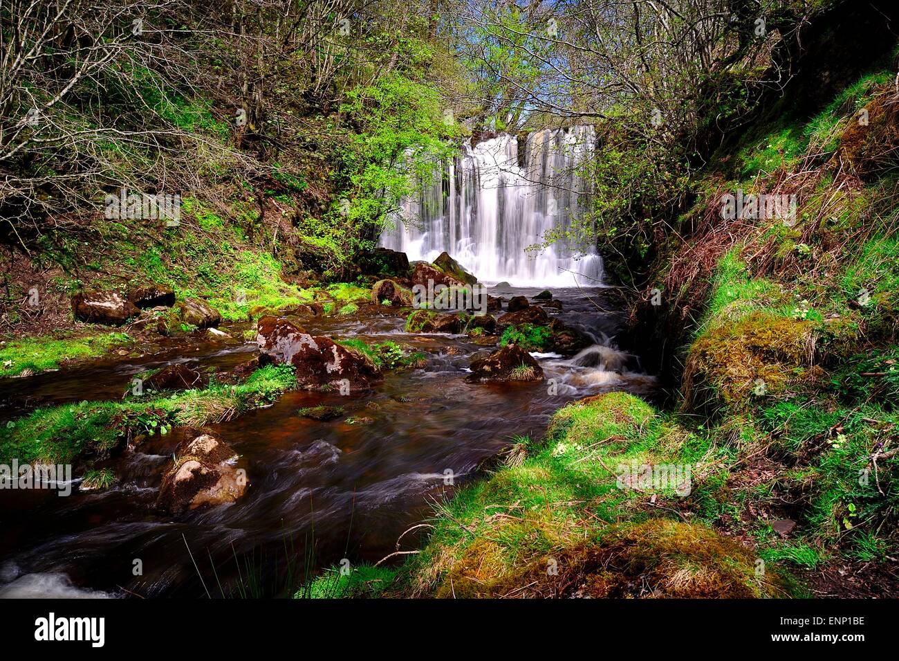 Scale Haw Force Hebden Yorkshire England Stock Photo - Alamy