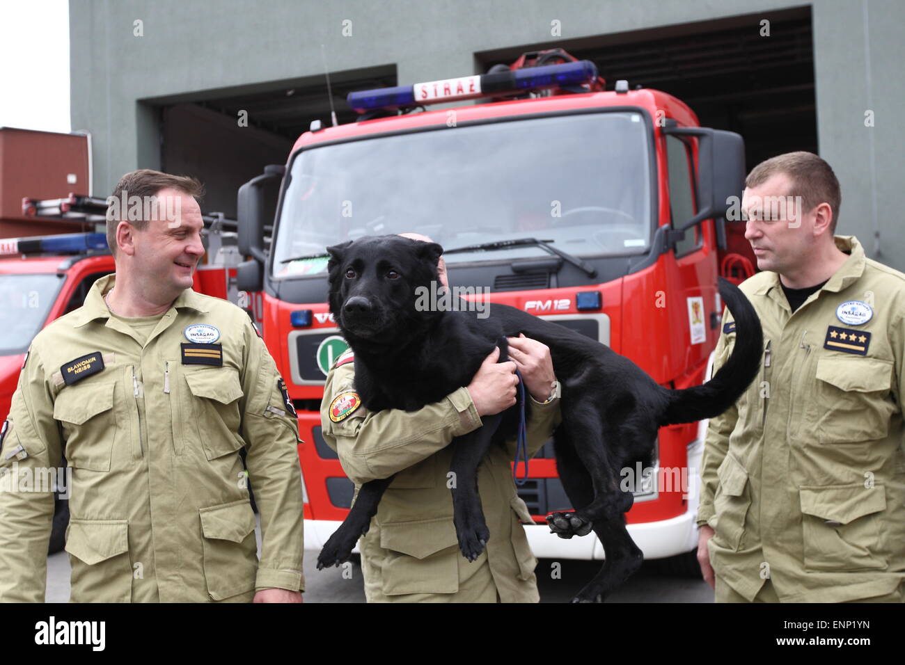 Usar polish rescuers hi-res stock photography and images - Alamy