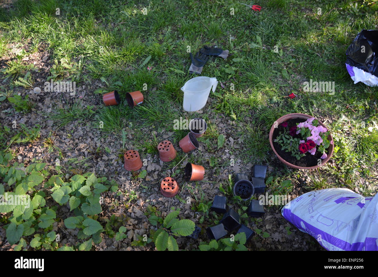 Hands with plants in the ground hi-res stock photography and images - Alamy