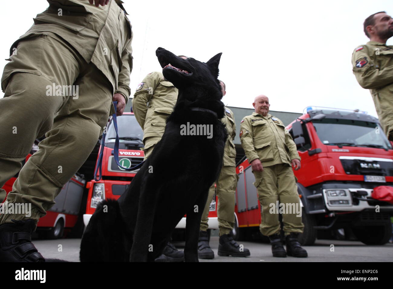 Usar polish rescuers hi-res stock photography and images - Alamy